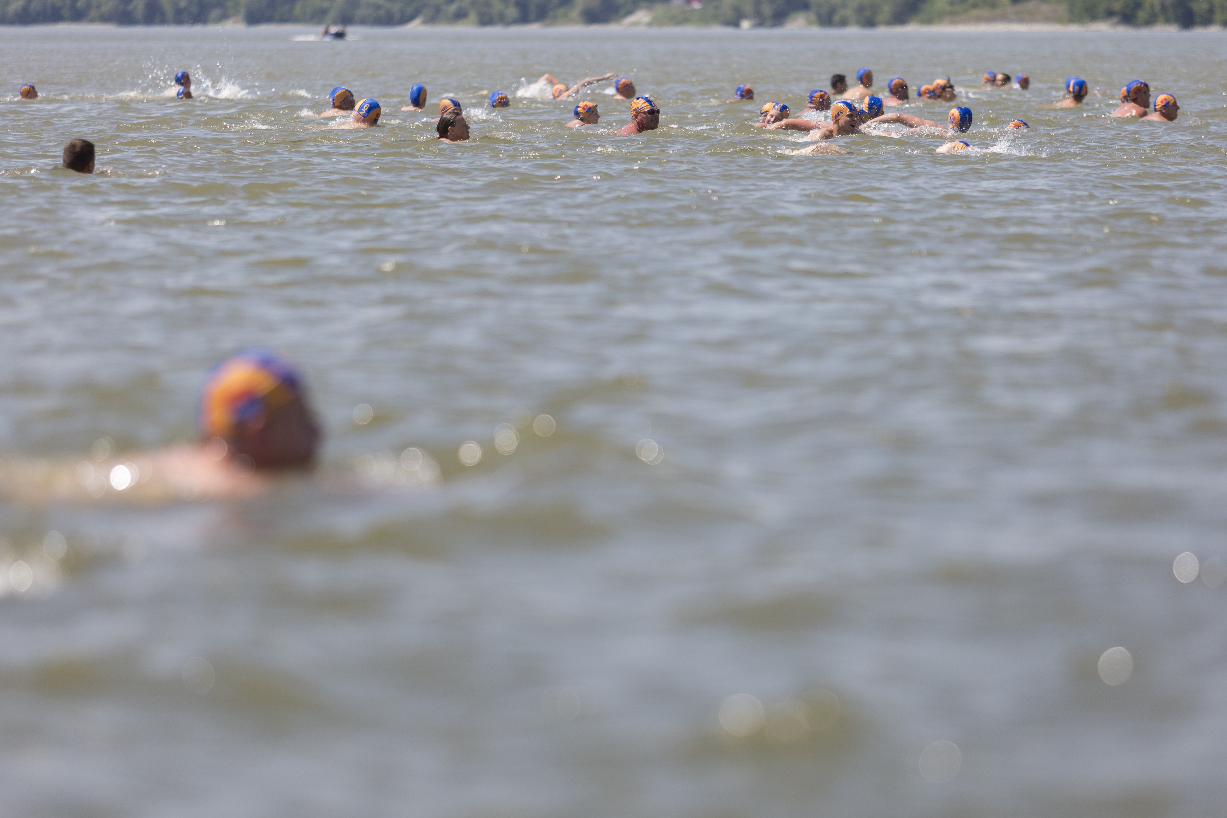 Danube Cross Swimming